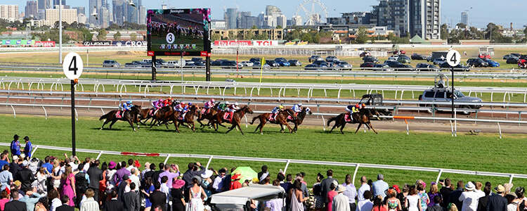 Fun Melbourne Cup Novelty Games | Vanilla Blue